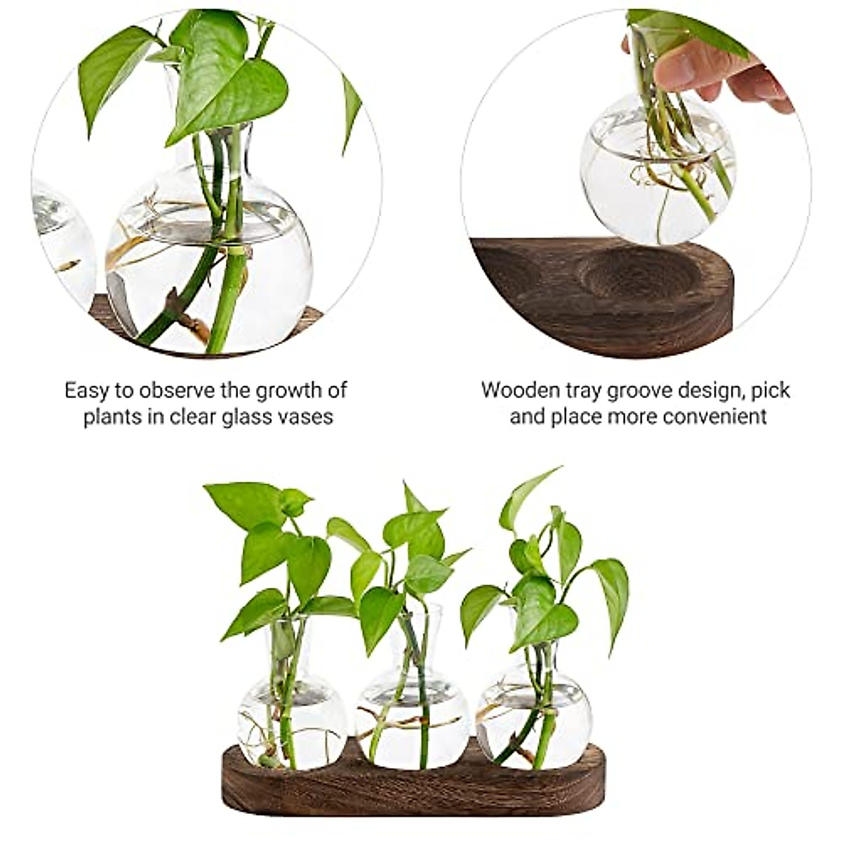 Mkono Desktop Plant Propagation Station Glass Planter Terrarium with Wooden Tray Bulb Flower Vase Perfect for Propagating Hydroponic Plants Home Office Decor Plant Lover Gift Idea