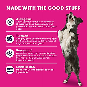 GoodGood Healthy Aging Dog Supplements; Supports Optimal Long-Term Health; Adult or Older Dog; Soft Chews with Astragalus, Turmeric, and Resveratrol; Probiotics; 90 Natural Flavor Chews
