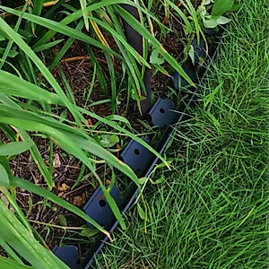 Landscape Edging,40FT Plastic No Dig Garden Edging with 40 Stakes,2 Inch Tall Lawn Edging for Lawn,Yard,Flower Gardens Border (Black-40FT)