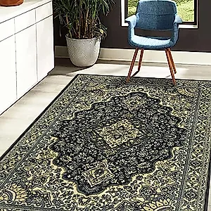 COZYLOOM 8x10 Area Rug Indoor Living Room Bedroom Large Area Rug Medallion Collection Area Rug Non-Shedding Oriental Traditional Area Rug, Grey