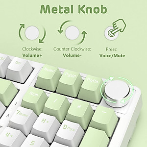 AJAZZ 99 Keys Wireless Mechanical Keyboard with Coiled Cable, Bluetooth5.0/2.4G/Wired Gaming Keyboard, RGB Hot Swappable Blue Switch Keyboard with Knob Control, PBT Keycaps,Gasket Mounted for PC/Mac