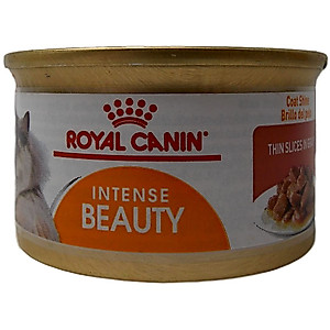 Royal Canin Slices in Gravy Cat Food 2 Flavor 6 Can Sampler, (3) Each: Adult Instinctive, Intense Beauty (3 Ounces) - Plus Catnip Toy and Fun Facts Booklet Bundle