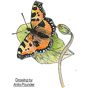 Uni Pin Fineliner Drawing Pen - Black - 0.03mm - Single