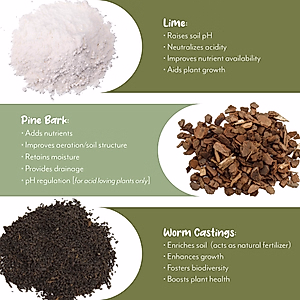 Christmas Cactus Potting Soil Mix (4 Quarts), Hand Blended Soil for Indoor Houseplants Custom Blended