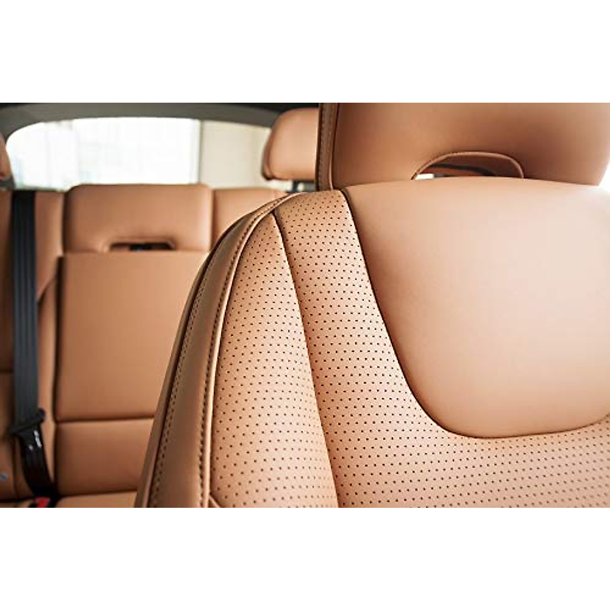 3M Leather and Vinyl Restorer, 39040, 16 fl oz, Black