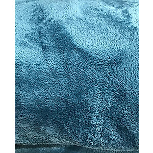 Home Must Haves Solid Color All Season Extra Soft Warm Cozy Sofa Couch Throw Bed Premium Blanket (Queen, Turquoise)