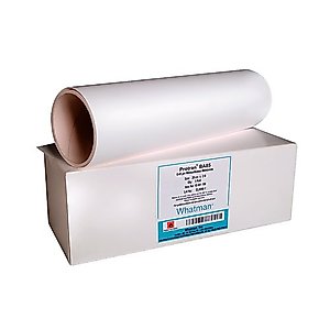Whatman 10402506 Protran BA85 Nitrocellulose Blotting Membrane, Circle, 0.45µm Pore Size, 25mm Diameter (Pack of 100)