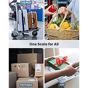 RENPHO Luggage Scale, Travel Essentials, Portable Digital Suitcase Weight Scale with Backlit LCD Display for Travel, Baggage Weighing Scale with Tare Function, 110lb/50kg, Battery Included