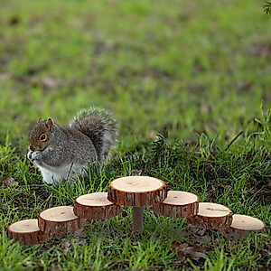 Wooden Hamster Ladder Bridge,Small Animals Climbing Ladder Activity Set Platform Ramps Playground Toys for Parrot Ferret Squirrel Hamster Rat Small Animals Little Rodent to Play and Exercise