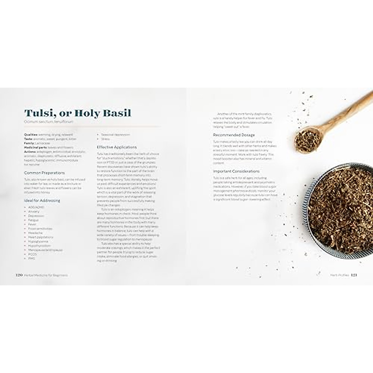 Herbal Medicine for Beginners: Your Guide to Healing Common Ailments with 35 Medicinal Herbs