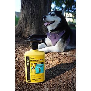 Sawyer Products SP624 Permethrin, Permethrin for Dogs Insect Repellent Treatment