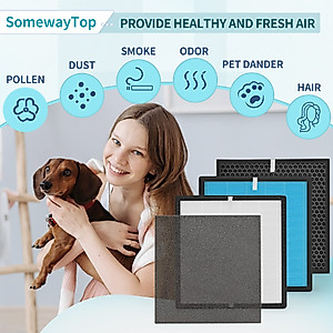 [2 SETS]10L Pro Replacement Filter Set Compatible with Okaysou Air Purifier Filters and Aiibot-A300, 5-Stage Airmax 10L Pro Filter, 2X H13 HEPA and 2X Carbon Filters 2X Sliver HEPA and 6X Pre-filter
