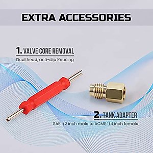 Lichamp A/C R134A Adapters with Puncture 134A Can Tap, AC 134 Quick Coupler Hose Connector Fitting Kit with Tank Adapter and Valve Core Remover, QA02