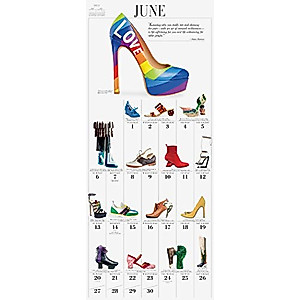 365 Days of Shoes Picture-A-Day Wall Calendar 2021