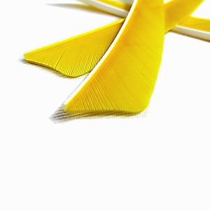 Letszhu Archery Arrows Feather Fletching 4 Inch Real Turkey Vanes for Hunting Target Shooting (25 Pack) (Yellow)