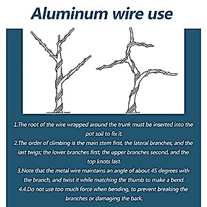 SHHMA Bonsai Wire Aluminum Wire for Bonsai Trees Suitable for Potted Plant Decoration, Weight is 500G,Black,Diameter:2.5mm