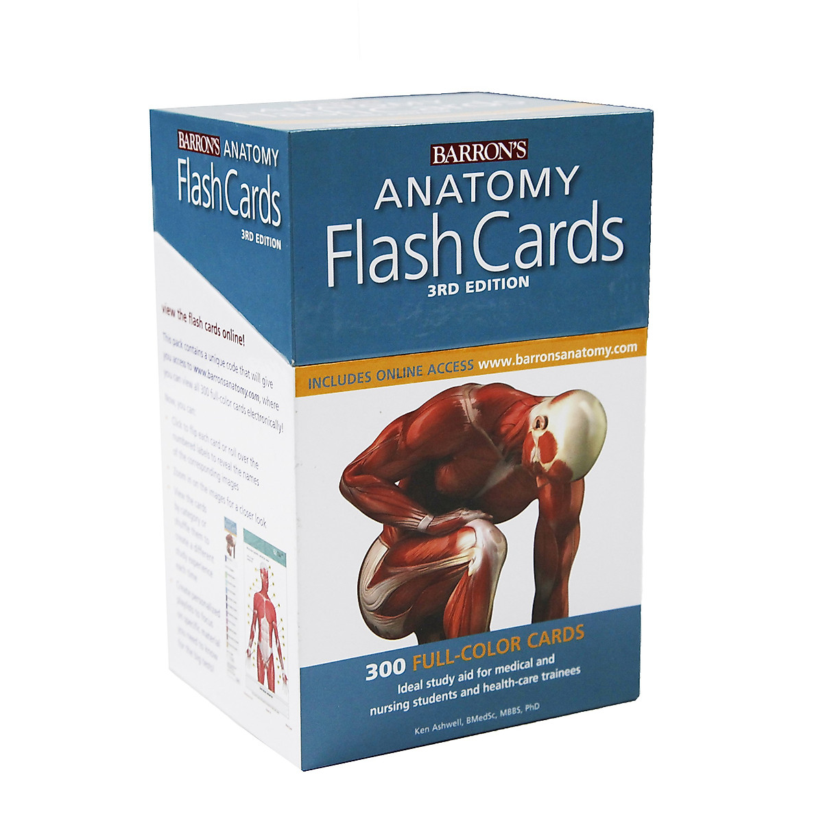 Anatomy Flash Cards (Barron's Test Prep)