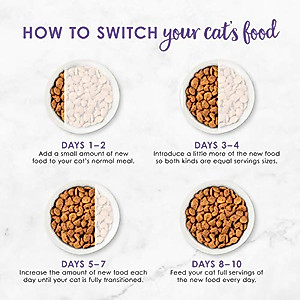 Fancy Feast Dry Cat Food with Savory Chicken and Turkey - 7 lb. Bags