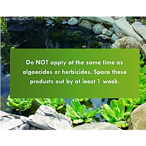 Pondworx Water Clear - Concentrated Formulation Improves Water Clarity and Quality, Helps Clear Cloudy Water, Safe for Fish, Pets, and Plant - 1 Gallon