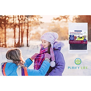 Dried Elderberries - 1lb Bulk - Hand-Sorted, Wildcrafted, Natural, Non-GMO, Whole European Immune System Support For Black Elderberry Syrup, Gummies, Jelly, Tea, Wine, Raw Sambucus, One Pound