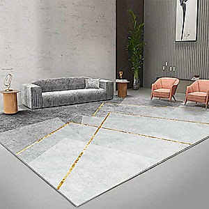 SUWUYUE Modern Abstract Geometric Golden Lines Craft Area Rug with Non-Shedding Floor Carpet for Living Room Bedroom Dining Home Office Grey / Gold (8FTX10FT)