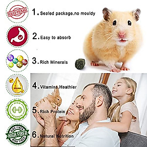 OHCOOL Timothy Hay Cubes 6oz -100% Natural Timothy Hay Made for Rabbits Sulcata Tortoise Guinea Pig, 6 oz