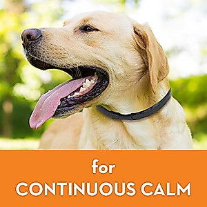 ThunderEase Calming Anti Anxiety Pheromone Collar for Dogs (Small)
