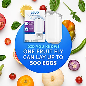 Zevo Flying Insect Trap, Fly Trap + Refill Cartridge Pack (1 Plug-in Base + 3 Total Refill Cartridges)