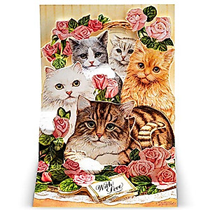 Happy Birthday Cards - Holiday Greeting Card, Graduation, Wedding, Anniversary Cards - for Wife Husband Kids Friends w/ Mailing Envelope - Cats