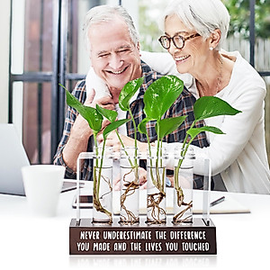 WelDesine Goodbye Gifts for Coworkers Leaving Gifts for Women, Planter Terrariums, Farewell Gifts for Friends, Going Away Gift for Boss Leaving Job, Retirement New Job Gifts for Men on Desk, SPJ001