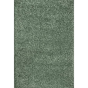 nuLOOM Belleza Shag Area Rug, 4' x 6', Green