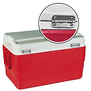 Cornucopia Brands Stainless Steel Replacement Cooler Hinges Compatible w/Igloo Style Ice Chests (Pack of 2 Hinges, 8 Screws)