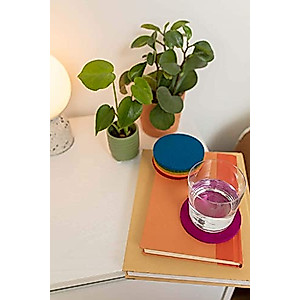 Graf Lantz Bierfilzl 100% Merino Wool Moisture Wicking, Absorbent Felt Coasters, Round, Multi-Color Set of 6, Rainbow
