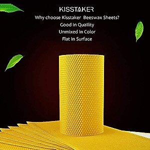 KISSTAKER 15PCS Bee Honey Sheets Beehive Wax Foundation Beekeeping Equipment Bee Comb Honey Frame