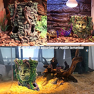 Tfwadmx Aquarium Decoration Statue Fish Tank Ancient Roman Ruins Ornament Cave Hideout for Fighting Fish, Hermit Crabs, Crayfish, SuckerFish, Guppy