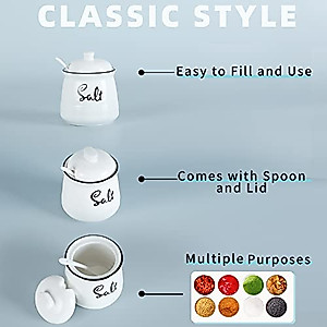 HAOTOP Farmhouse Porcelain Salt Bowl with Lid and Spoon 12oz,Easy to Clean (White)