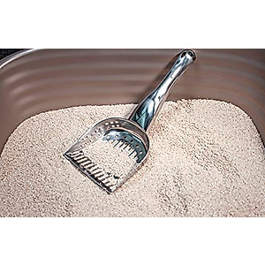 RSVP International Endurance Collection Stainless Steel Kitty Litter Scoop, 4.75x2.5x11.25