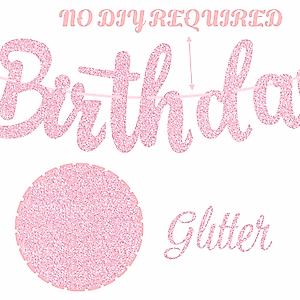 Fairy Birthday Party Banner Glitter Pink Fairies Birthday Party Decorations Fairy First Party Banners Fairy Birthday Cutout Banner for Fairy Garden Baby Shower Supplies