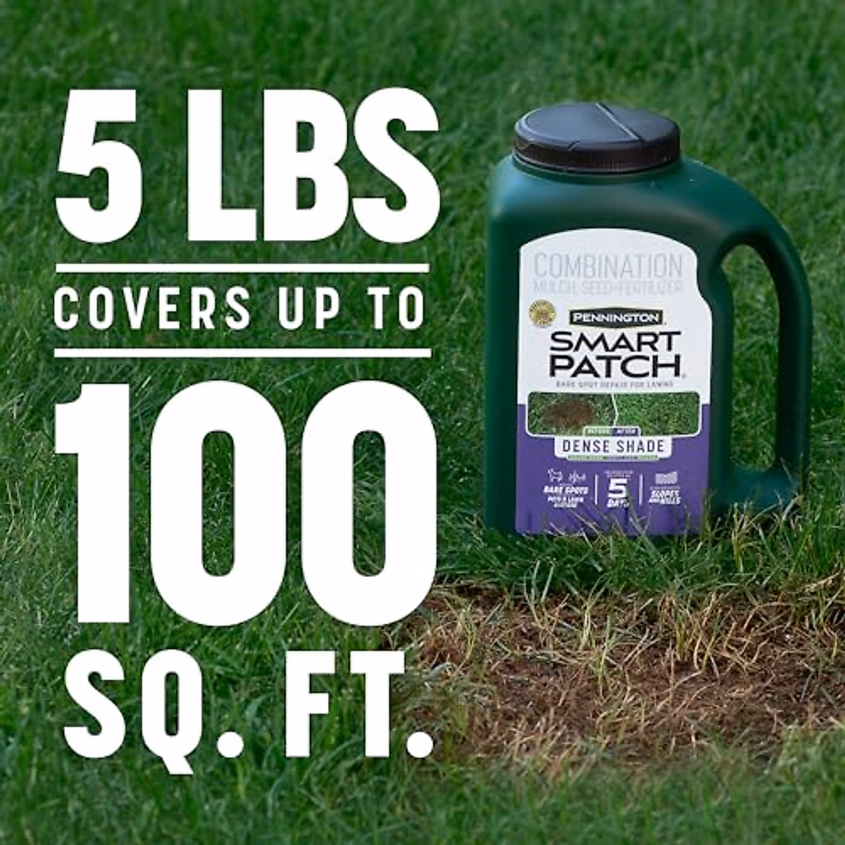 Pennington Smart Patch Dense Shade Mix Jug 5 lb