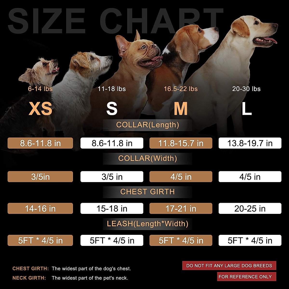 BEAUTYZOO Step in Dog Harness Collar and Leash Set for Small Medium Large Dogs, No Pull No Choke Puppy Harness, Soft Mesh Reflective Pet Padded Vest Adjustable for Doggie Girl or Boy,French Bulldog