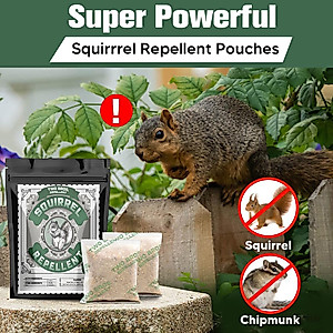 Two Bros. Repellent Squirrel Repellent Outdoor,Chipmunk Repellent Outdoor,Squirrel Repellents Indoor,Squirrel Deterrent,Natural Squirrel Repellent for Bird Feeders/Garden/Attic/Shed -10P, black
