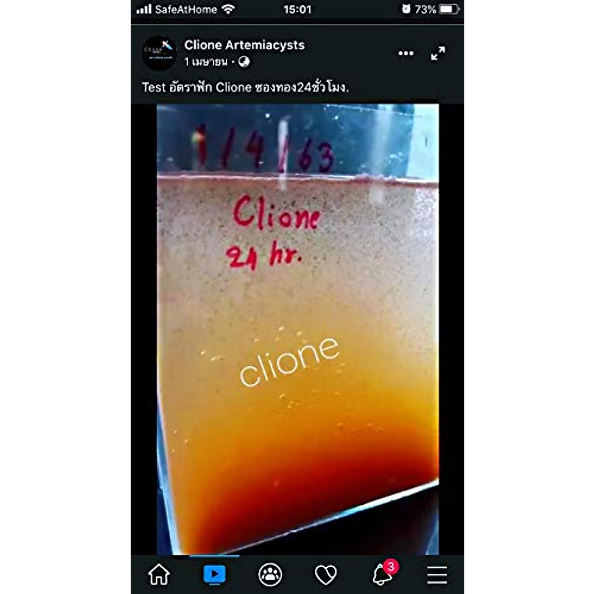 Clione SuperP1 50 g. (Premium Grade) Artemia Cysts Brine Shrimp Eggs Fish Food 95% Plus Hatch Rate in 24-32 Hour, Fresh Stock Tested, for All Tropical Fish Goldfish KOI Baby Fry Fish Guppy Betta Fish