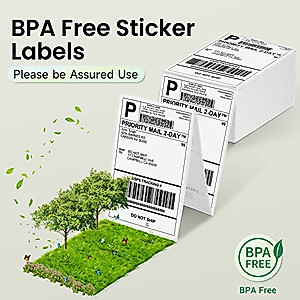 Phomemo 4x6 Thermal Direct Shipping Label, 4''x 6'' Fan-Fold Labels, Compatible with Rollo, MUNBYN, Zebra, Fargo Label Printer, 1 Pack of 500 Labels