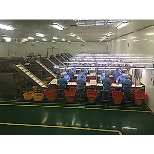 ONETANG Shiitake Mushroom, Dried Slice, Quick Rehydration, Soft Texture, Fresh Flavor, Stemless, Vacuum Sealed, Vegan, No Fumigation Sulfur, 8 Oz