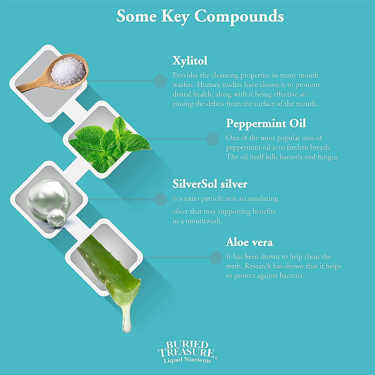 Xyli Swish - All Natural Formulated Nano Silver, Xylitol & Aloe Mouthwash - Alcohol and Fluoride Free - Oral Rinse to Fight Bad Breath & Dry Mouth - Peppermint Flavor - 16oz.