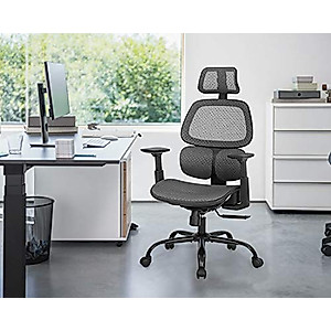 Ergonomic Office Chair, Desk Chair Computer Chair with Adjustable Arms Lumbar Support Swivel Rolling High Back Mesh Task Chair