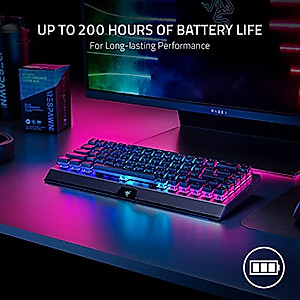 Razer BlackWidow V3 Mini HyperSpeed 65% Wireless Mechanical Gaming Keyboard: Green Mechanical Switches Tactile & Clicky - Phantom Pudding Keycaps - Chroma RGB - Up to 200 Hr Battery Snap Tap