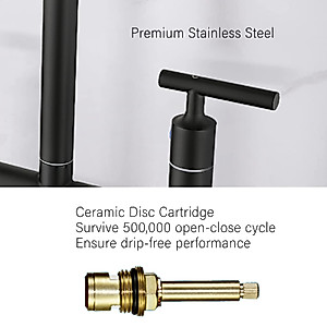 Dornberg Bridge Kitchen Faucet, 360 Swivel 2 Hole 2 Handle Kitchen Sink Faucet, Stainless Steel Matte Black