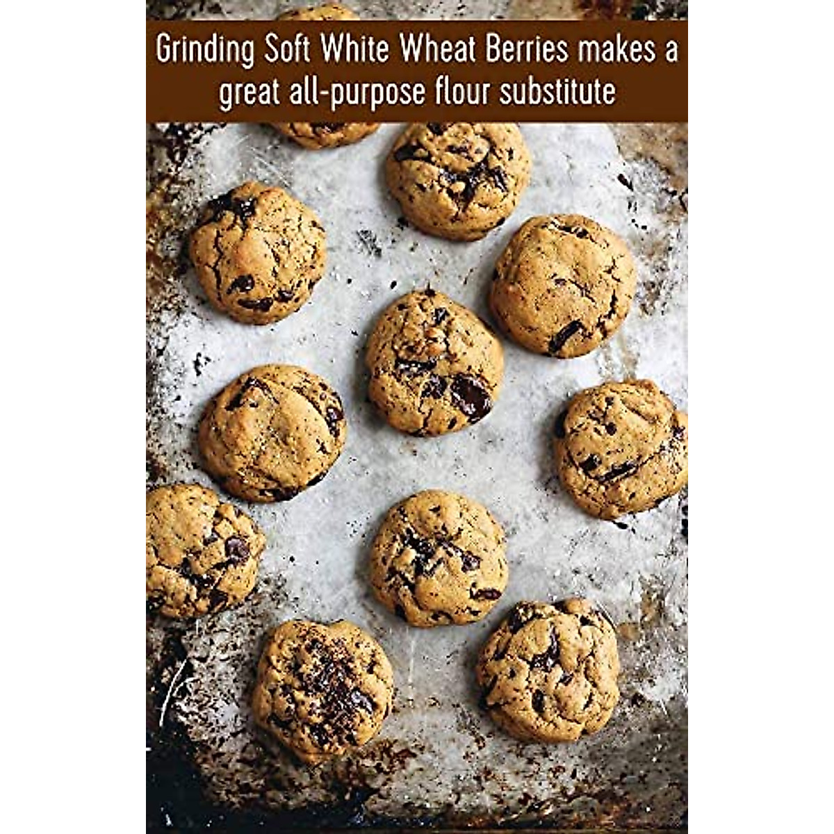 Soft White Wheat Berries | 5 LBS | Family Farmed in Washington State | 100% Desiccant Free | Non-GMO Project Verified | 100% Non-Irradiated | Kosher | Field Traced | Burlap Bag