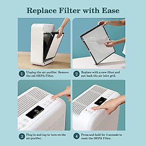 Air Purifier Replacement Filter, 3-in-1 True HEPA Filter Compatible with AP003 Air Purifier